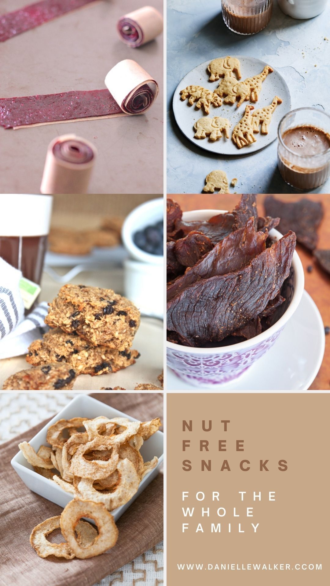 Healthy & Delicious: Nut Free Snacks for the Whole Family - Danielle Walker