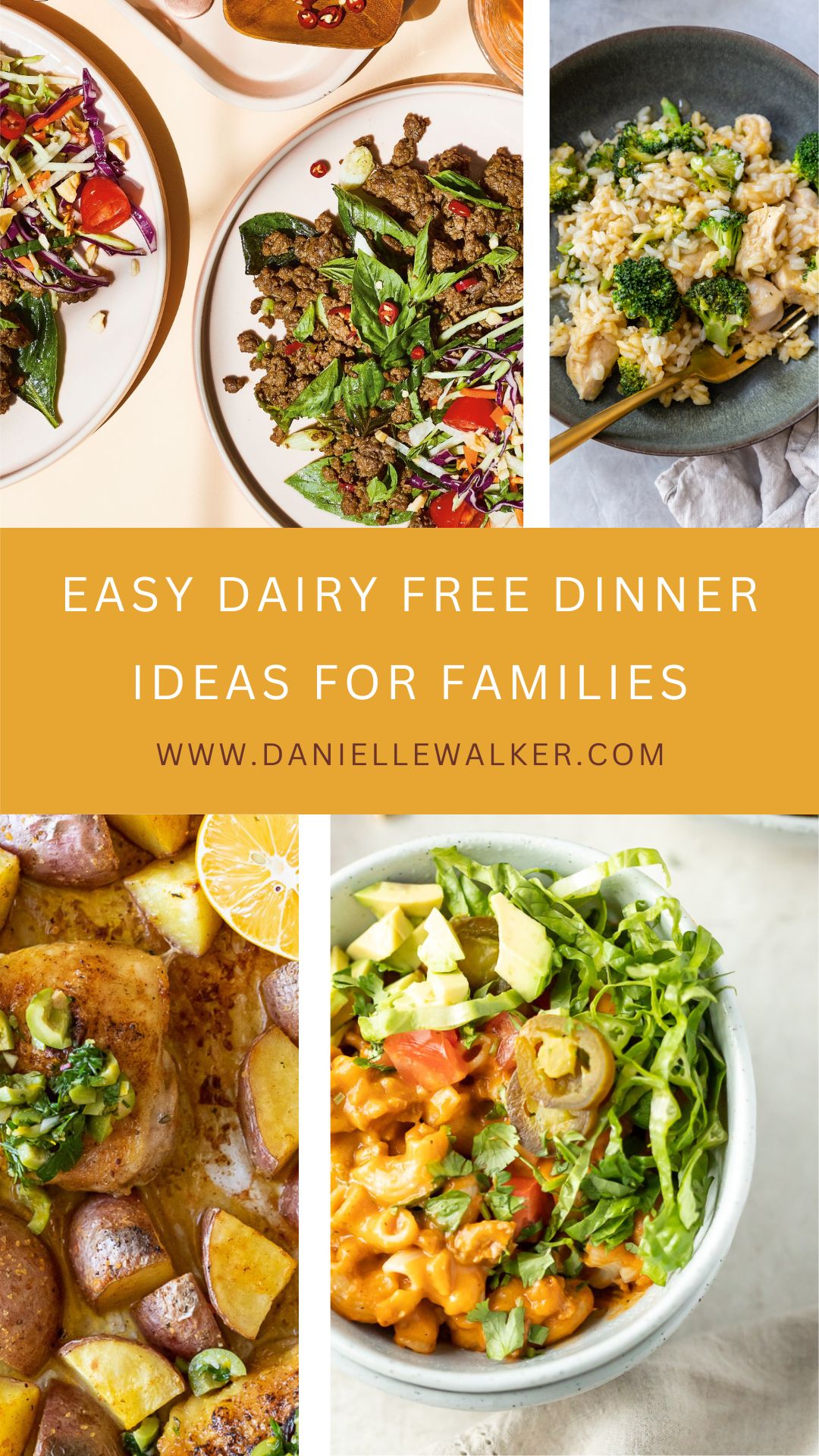 Easy Dairy Free Dinner Ideas For Families - Danielle Walker